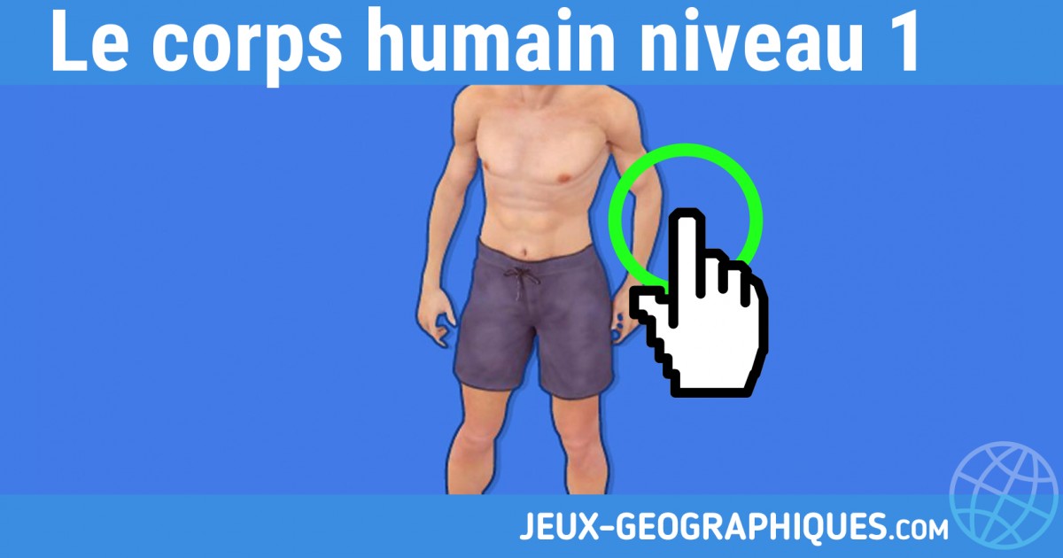 quiz-corsica jeux gratuits Le corps humain niveau 1
